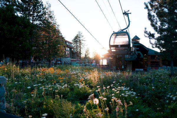 Explore | Things To Do in South Lake Tahoe | Hotel Becket